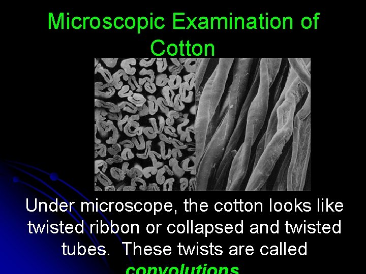 Analyzing Fibers Forensic Science Fibers Material composing fabrics