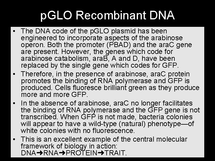 Bacterial Transformation of p GLO Lab Background Gene