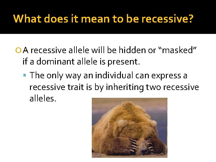 Ch 11 Introduction to Genetics A Brief History