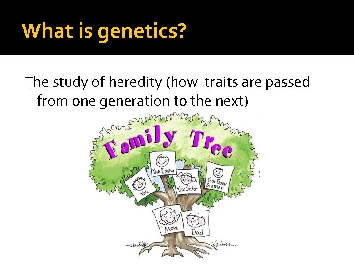 Ch 11 Introduction to Genetics A Brief History