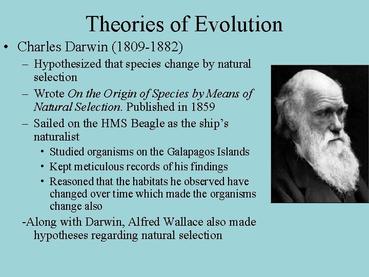 Evolution What is Evolution Changes in biodiversity over