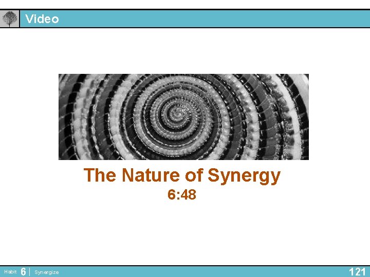 Habit 6 Synergize 121 Video The Nature of
