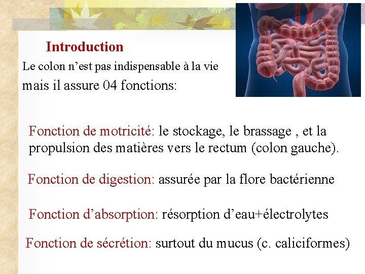 Physiologie du colon Pr KACI HMRUO objectifs n