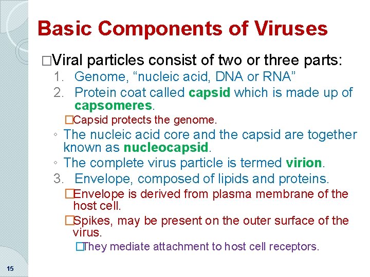 BRIEF HISTORICAL BACKGROUND 1 History 1 The existence