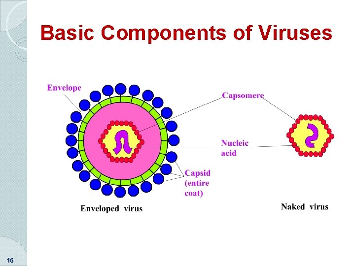 BRIEF HISTORICAL BACKGROUND 1 History 1 The existence