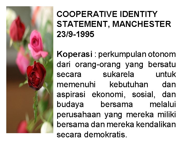 ICA international Cooperative Alliance yakni organisasi gerakan koperasi