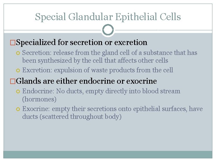 Lecture 2 Animal Cells and Tissues MRS HIGGINS
