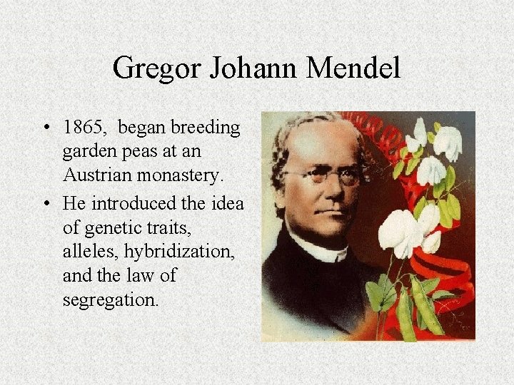 Historical Timeline of Genetics 10 th Grade Biology