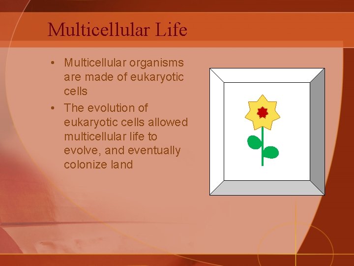 Module 10 Evolution Abiogenesis Life first arose from