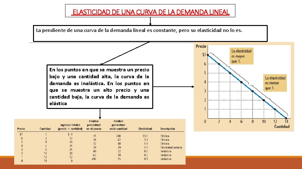 ELASTICIDAD Y SUS APLICACIONES LA ELASTICIDAD ES LO