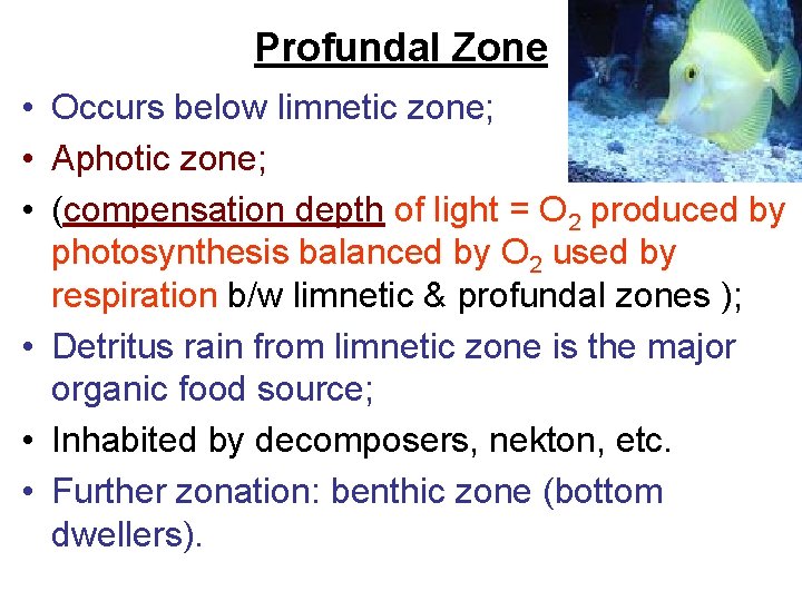 Ecology BIO C 322 Freshwater EcosystemsBiomes Types of