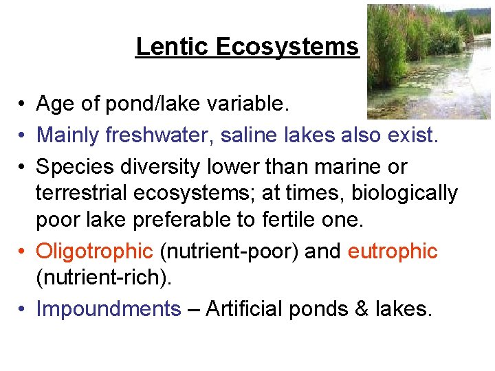 Ecology BIO C 322 Freshwater EcosystemsBiomes Types of