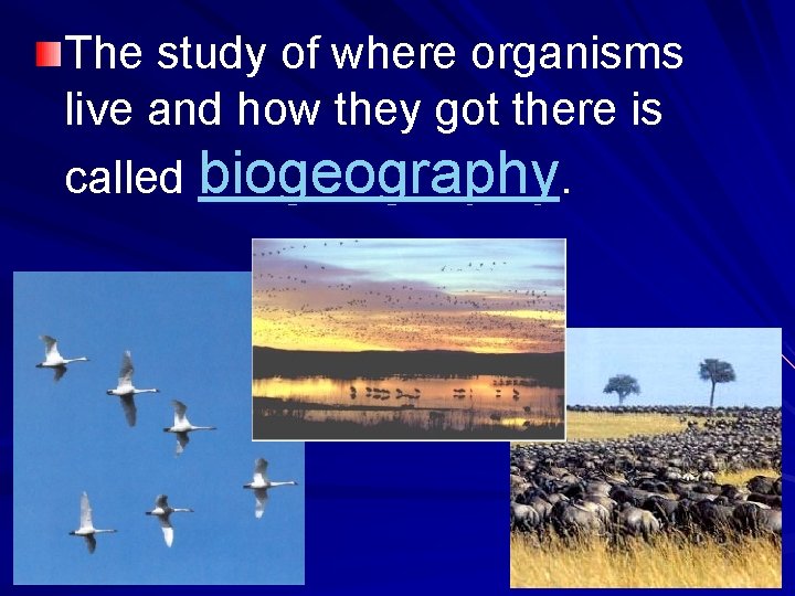 Succession Biogeography The study of where organisms live