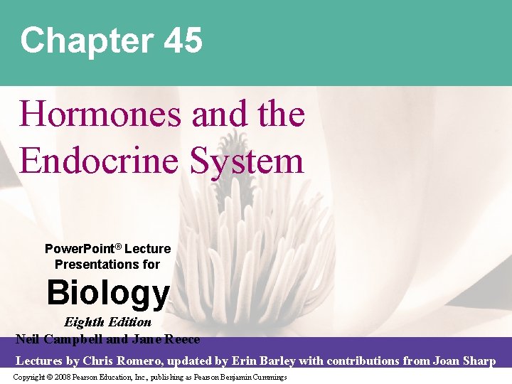 Chapter 45 Hormones and the Endocrine System Power