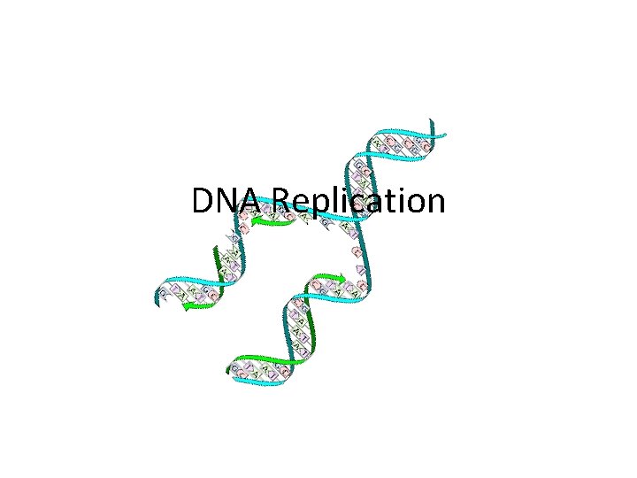 DNA Replication Introduction When was DNA first discovered