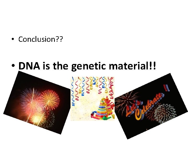 DNA Replication Introduction When was DNA first discovered