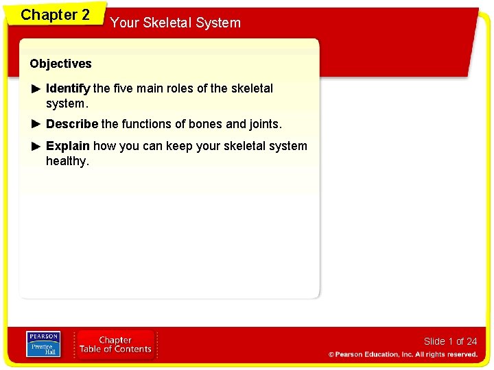 Section Chapter 11 1 2 Your Skeletal System