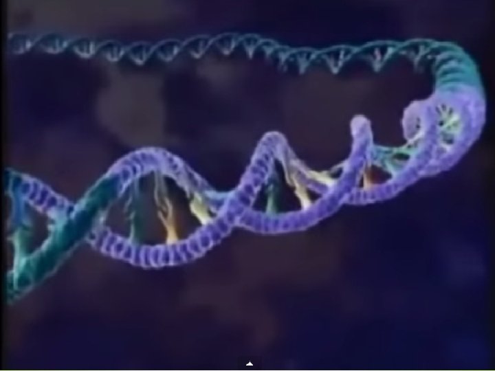 Repaso Tercer Parcial Jackelin Rodriguez Arely Arciniega Miriam