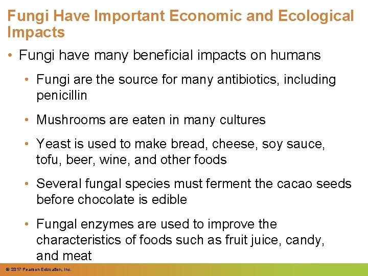 29 Fungi Lecture Presentation by Cindy S Malone