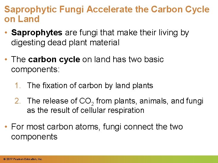29 Fungi Lecture Presentation by Cindy S Malone