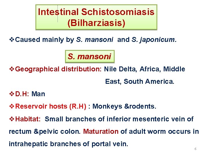 GIT Module 2019 2020 Parasitic Infections Schistosomiasis Dr