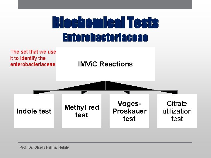 Biochemical Reactions General Microbiology Lab 5 By Prof