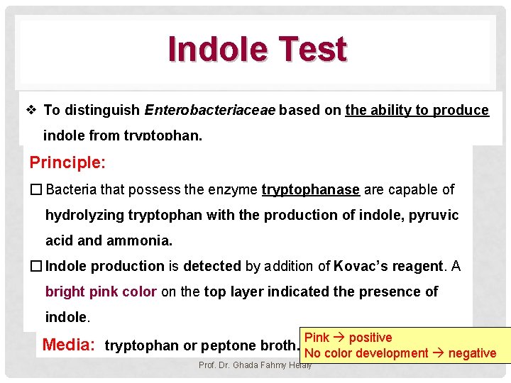 Biochemical Reactions General Microbiology Lab 5 By Prof
