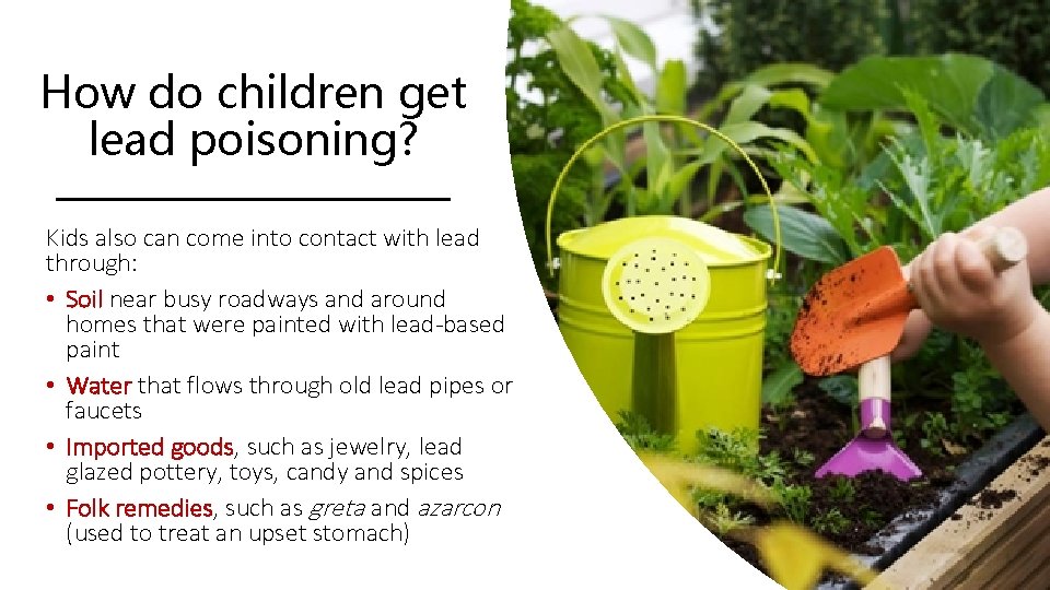 CHILDHOOD LEAD POISONING Montclair Health Department Created by