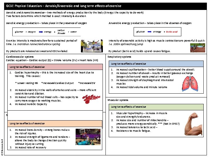 GCSE Physical Education AerobicAnaerobic and long term effects