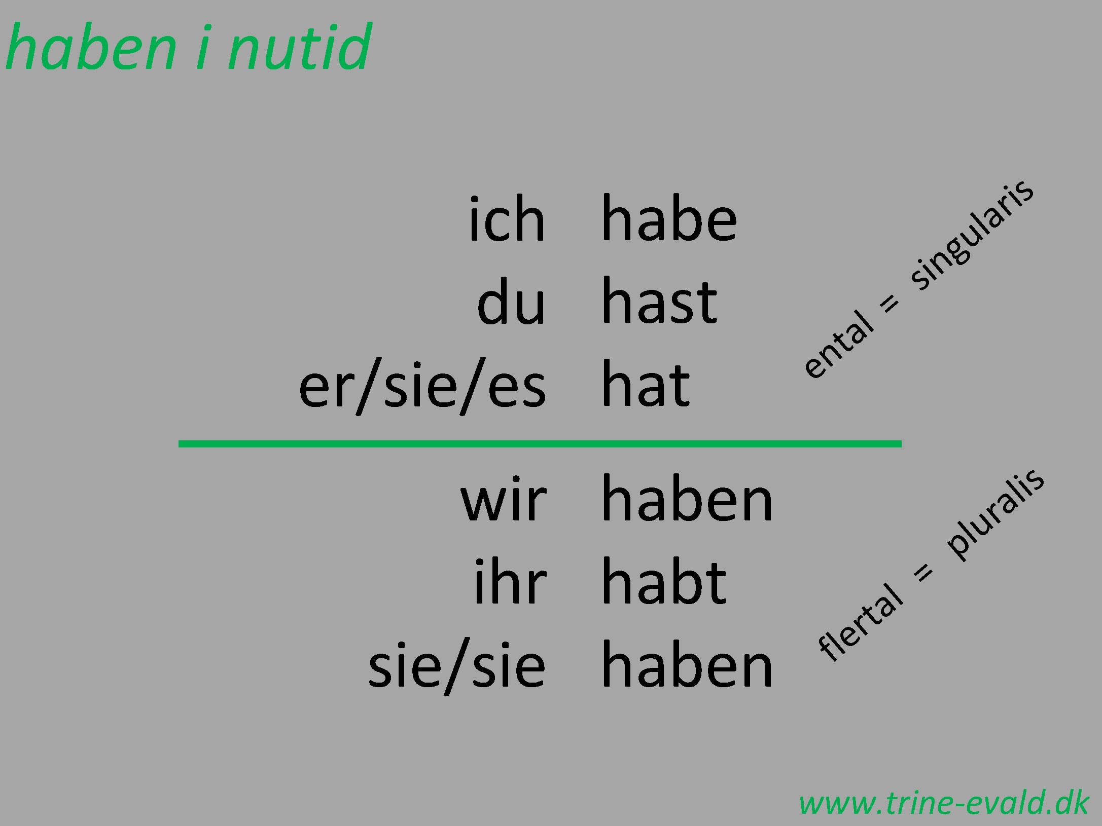 haben i nutid ich habe du hast ersiees