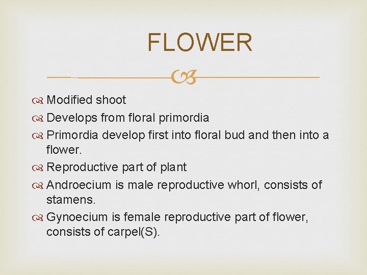 SEXUAL REPRODUCTION IN FLOWERING PLANTS Presented by Mr