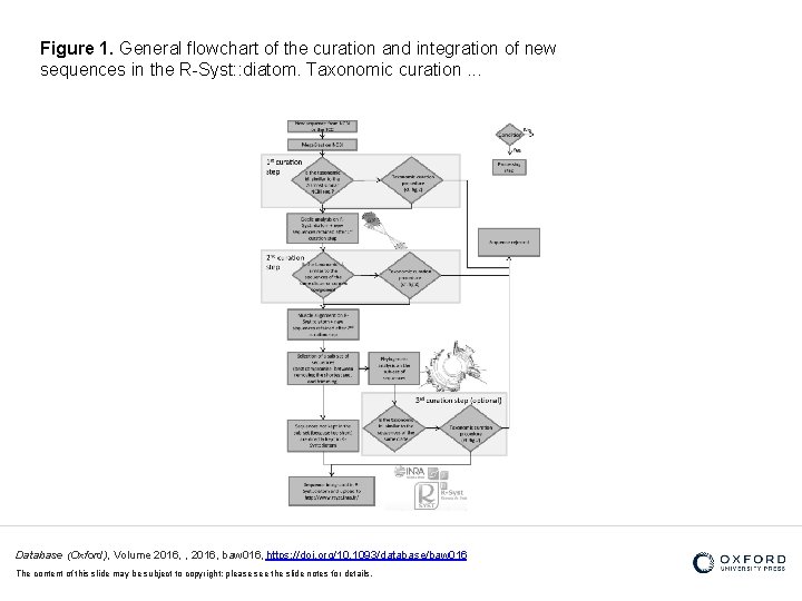 Figure 1 General flowchart of the curation and