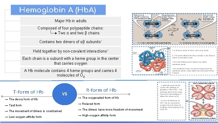 Structure Function of Hemoglobin Color Index Main Topic