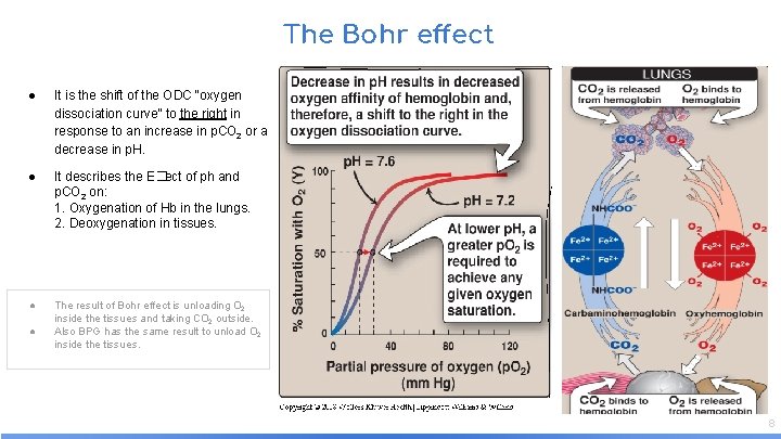 Structure Function of Hemoglobin Color Index Main Topic