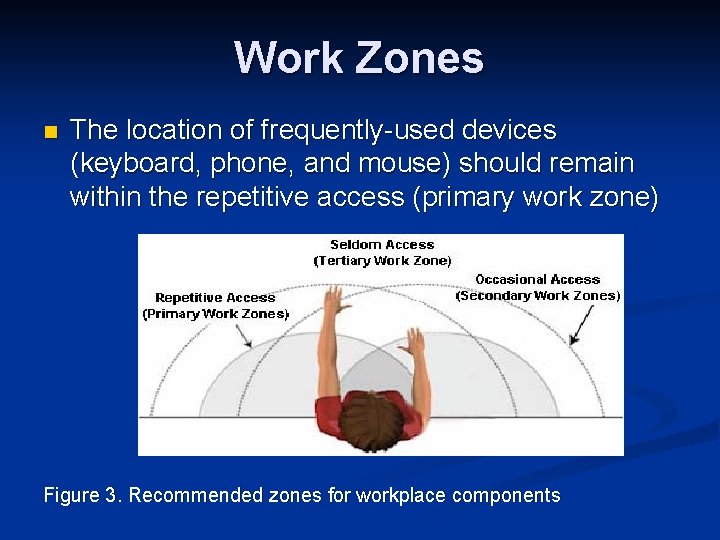 LIBRARY ERGONOMICS Presented By Frank Gonzales CEES CEAS