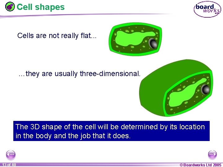 KS 3 Biology 7 A Cells 1 of