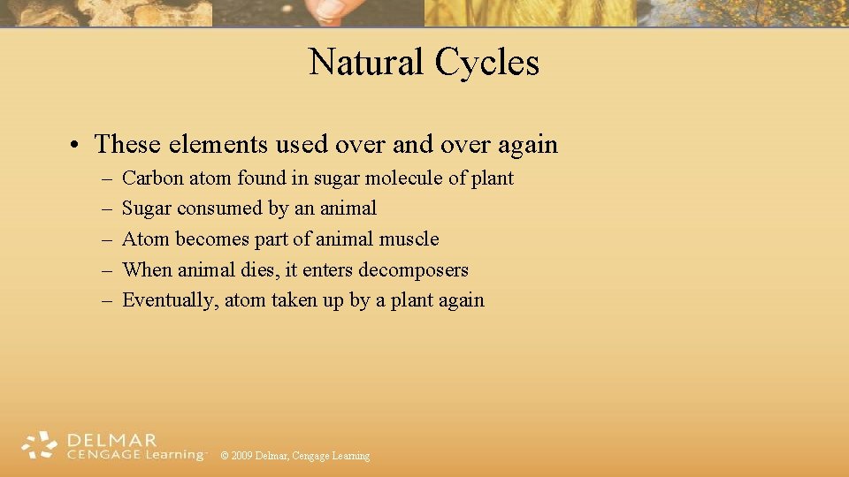 Chapter 2 Science Behind Environmental Science 2009 Delmar