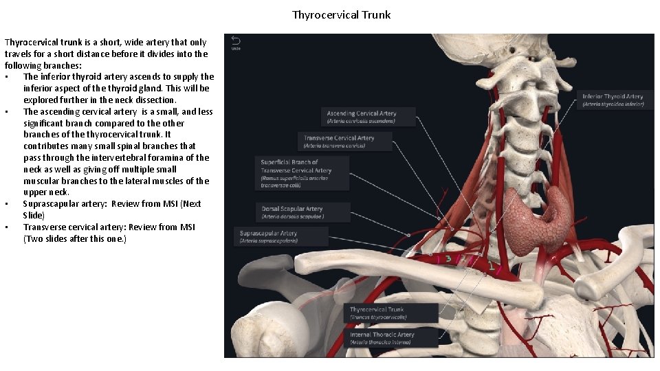Power Point Handout Lab 1 Part B Dural
