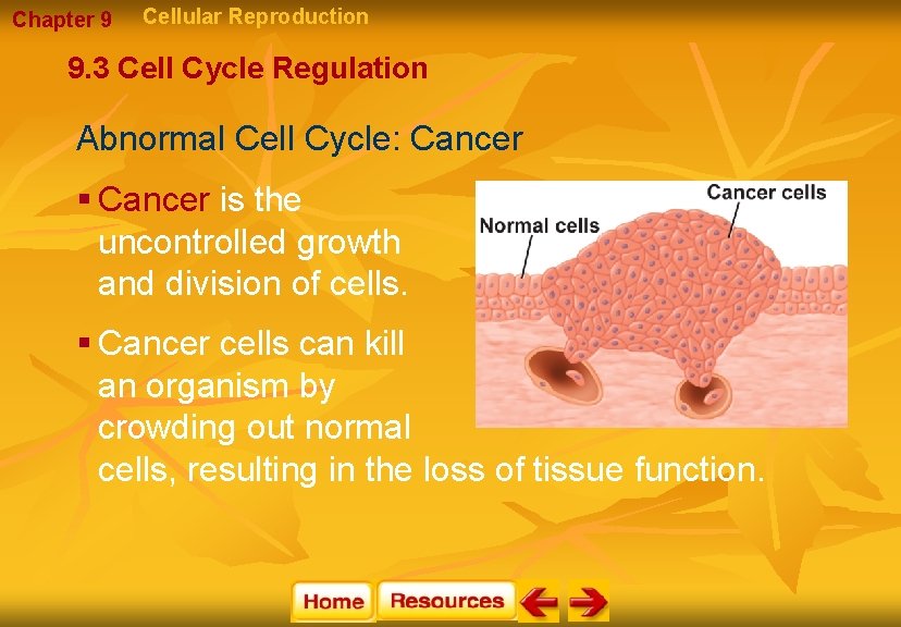 Chapter 9 Cellular Reproduction 9 1 Cellular Growth