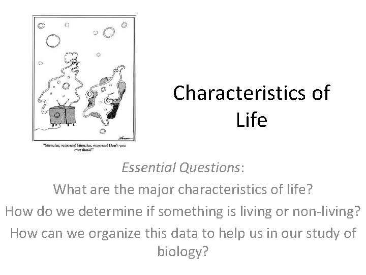 Characteristics of Life Essential Questions What are the