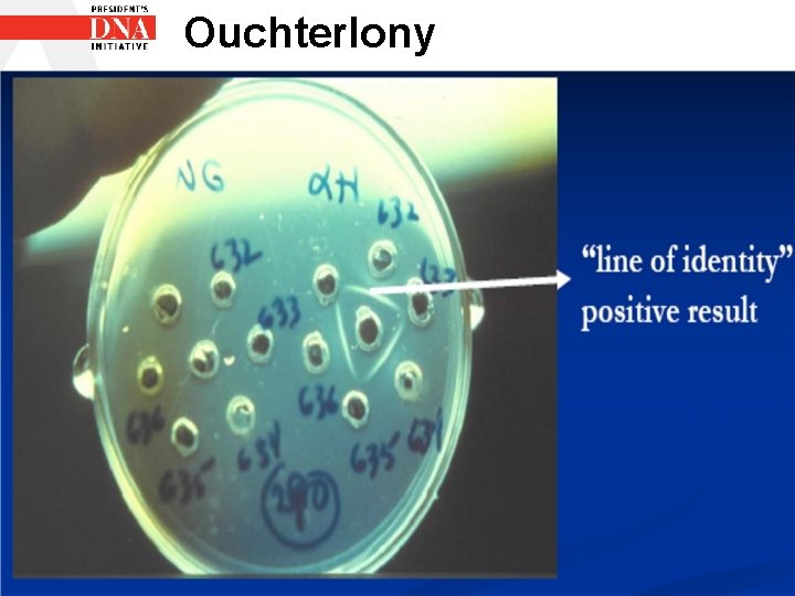 Forensic Biology Screening Workshop Blood What Is Blood