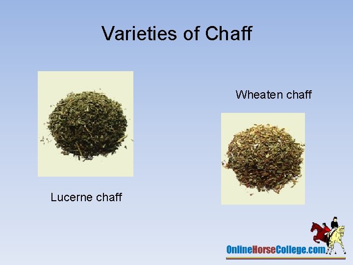 Types of Feed This presentation has been produced