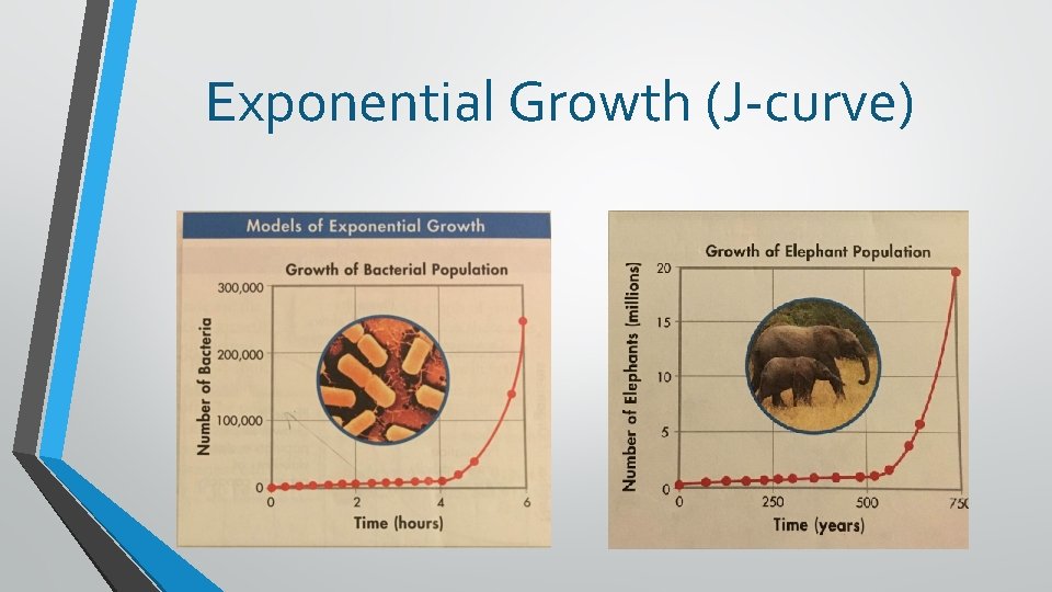 Population Dynamics Describing Populations Geographic range physical area