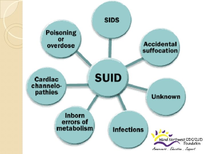 Public Safety Initiative BROUGHT TO YOU BY Elizabeth