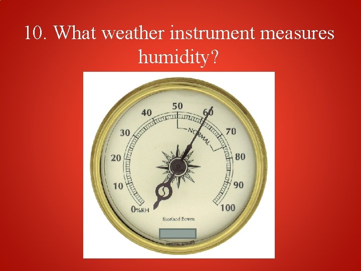Chapter 7 Quiz 1 What is a thin