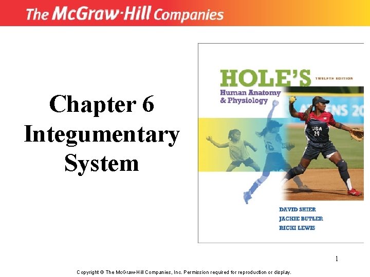 Chapter 6 Integumentary System 1 Copyright The Mc