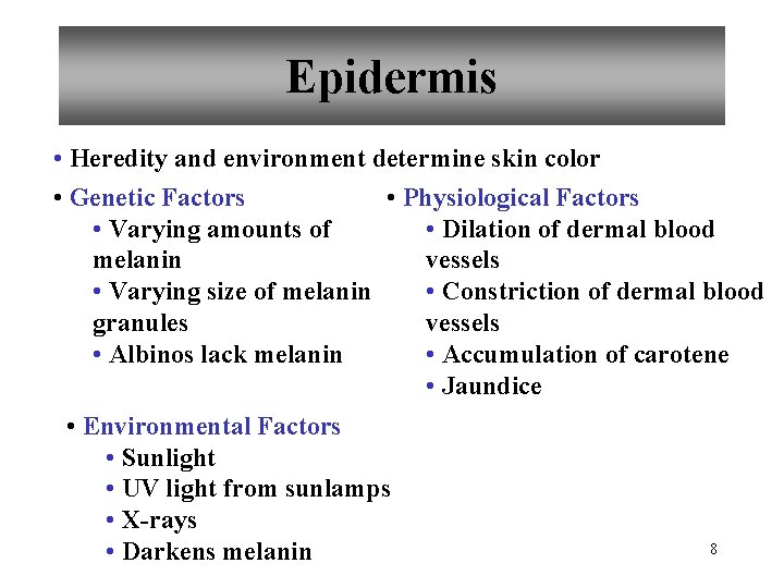 Chapter 6 Integumentary System 1 Copyright The Mc
