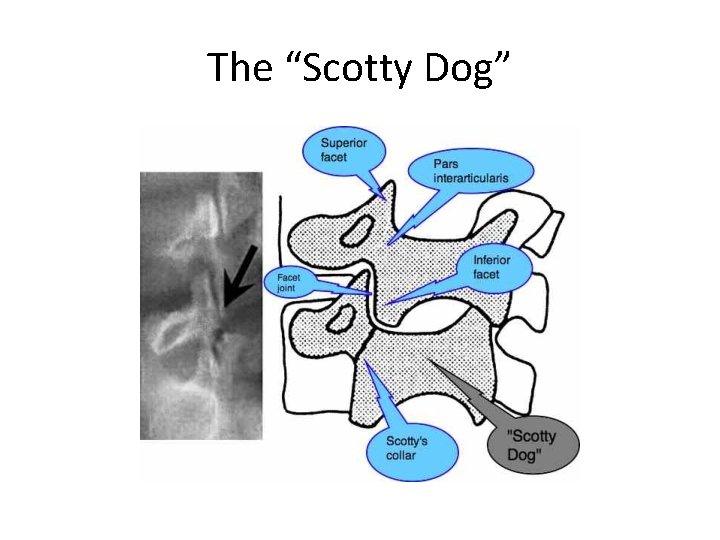 What is this Presentation really about Someone asked