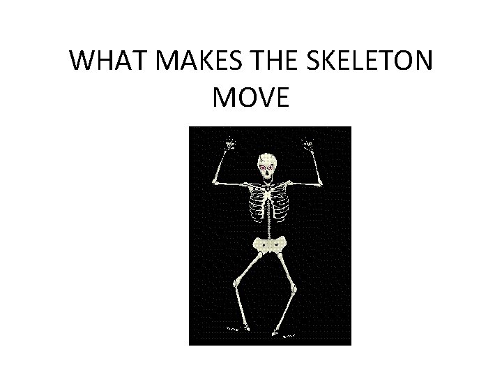 SUPPORT AND MOVEMENT IN VERTEBRATES SKELETAL SYSTEMS Vertebrates