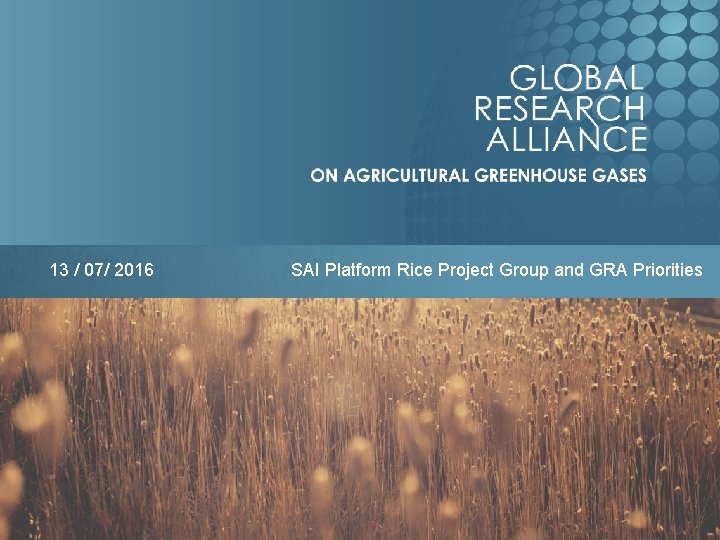 13 07 2016 SAI Platform Rice Project Group
